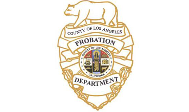 County of Los Angeles Probation Department Individual - Partner Portal